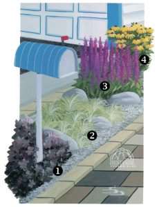 Front Walk Border - Perennial Gardening