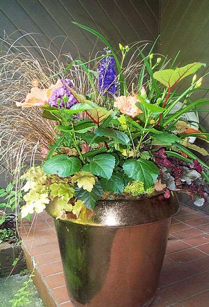 Perennial Gardening in Containers - Perennial Gardening
